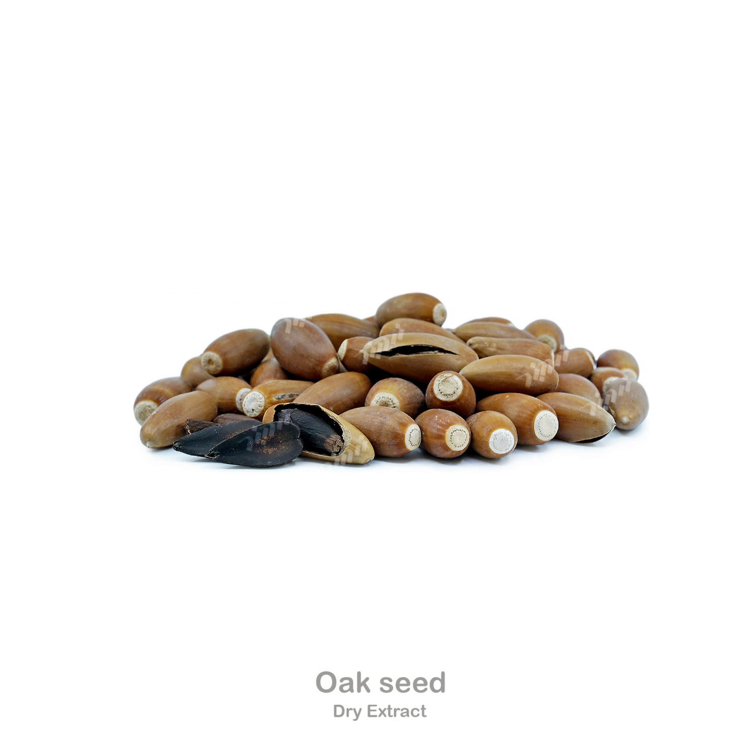 Oak seed Dry Extract – شرکت دارویی زردبند